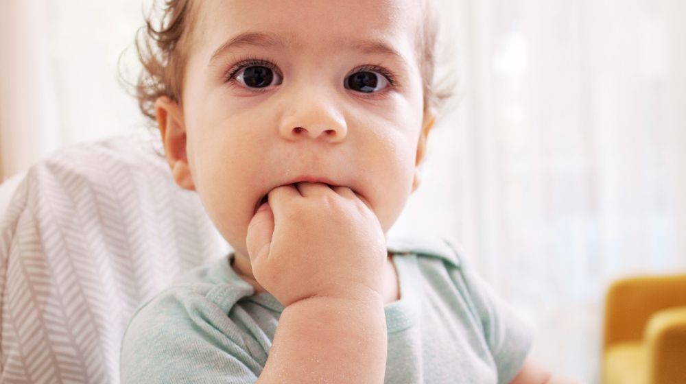 Let's Talk About Teething – innobaby