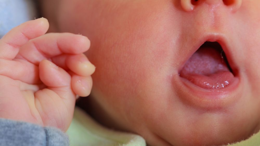 Understanding Your Baby’s Oral Health – innobaby